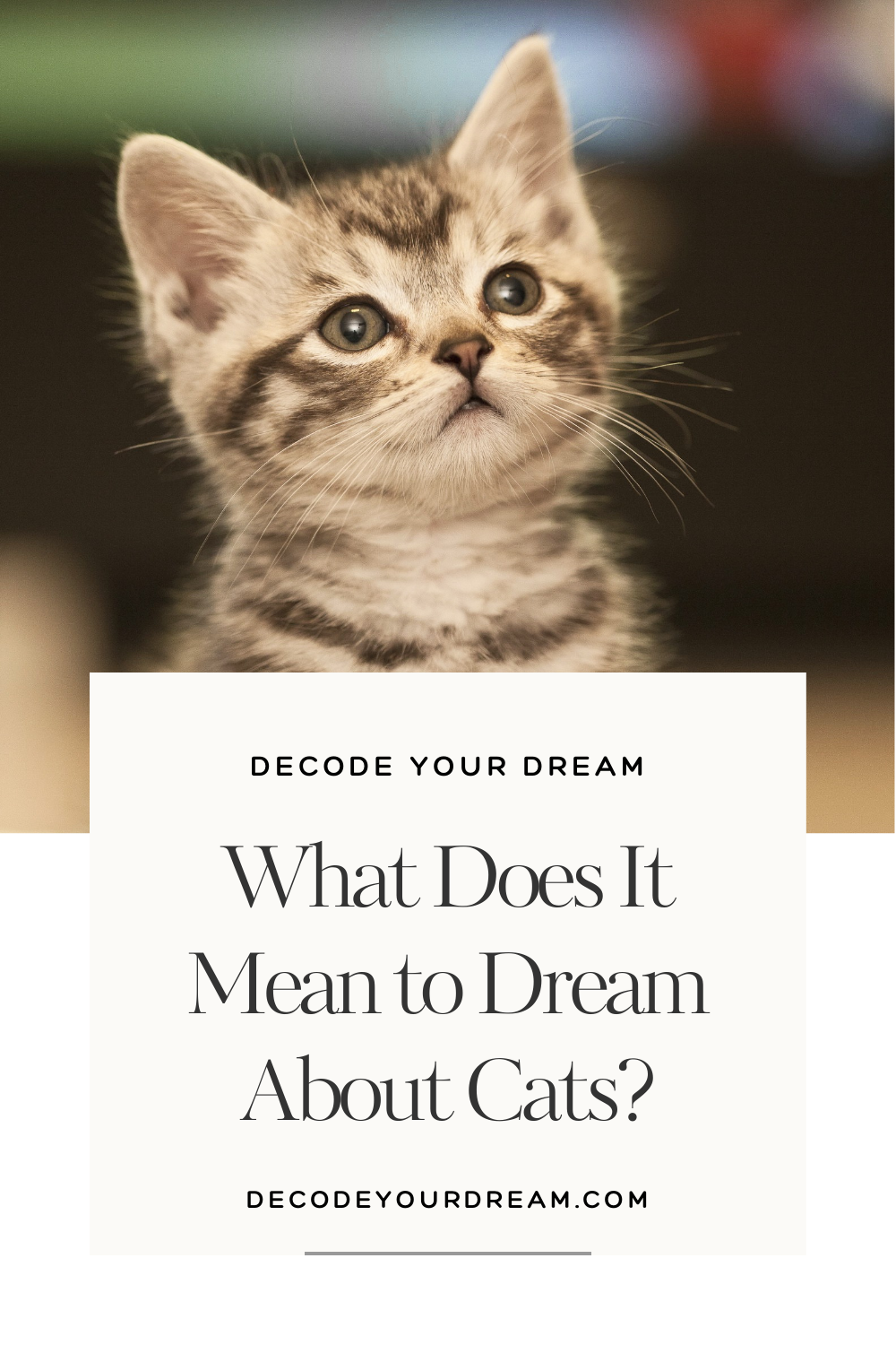 What Does It Mean to Dream About Cats? - Decode Your Dream